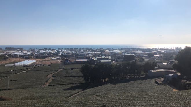 Kaikon 山/茶畑丸々貸切!日本一のお茶の生産地の茶畑山を貸切利用!各種撮影におススメの写真4