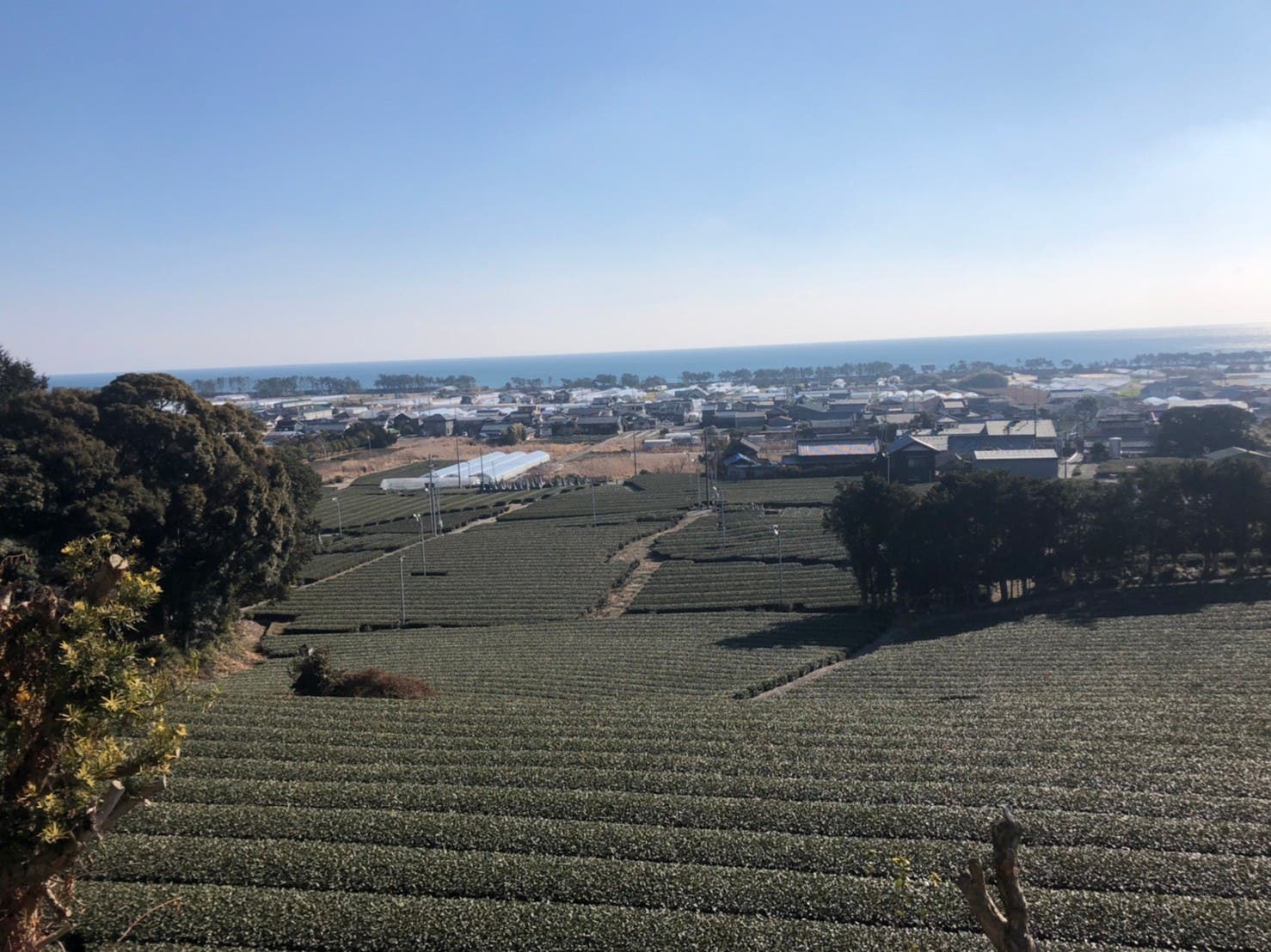 Kaikon 山/茶畑丸々貸切！日本一のお茶の生産地の茶畑山を貸切利用！各種撮影におススメの写真5