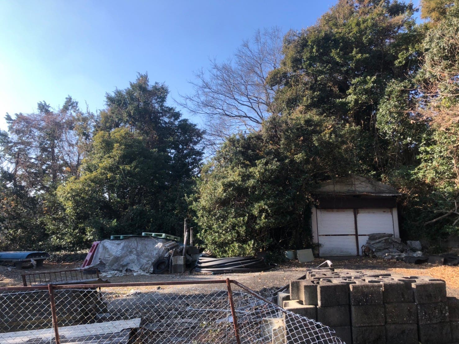 Kaikon 山/茶畑丸々貸切！日本一のお茶の生産地の茶畑山を貸切利用！各種撮影におススメの写真6