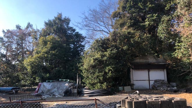 Kaikon 山/茶畑丸々貸切!日本一のお茶の生産地の茶畑山を貸切利用!各種撮影におススメの写真6