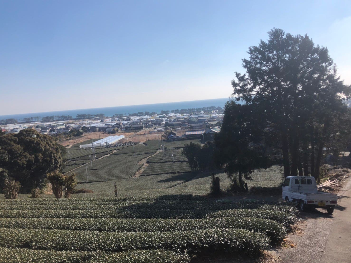 Kaikon 山/茶畑丸々貸切！日本一のお茶の生産地の茶畑山を貸切利用！各種撮影におススメの写真8