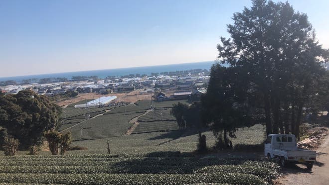 Kaikon 山/茶畑丸々貸切!日本一のお茶の生産地の茶畑山を貸切利用!各種撮影におススメの写真8