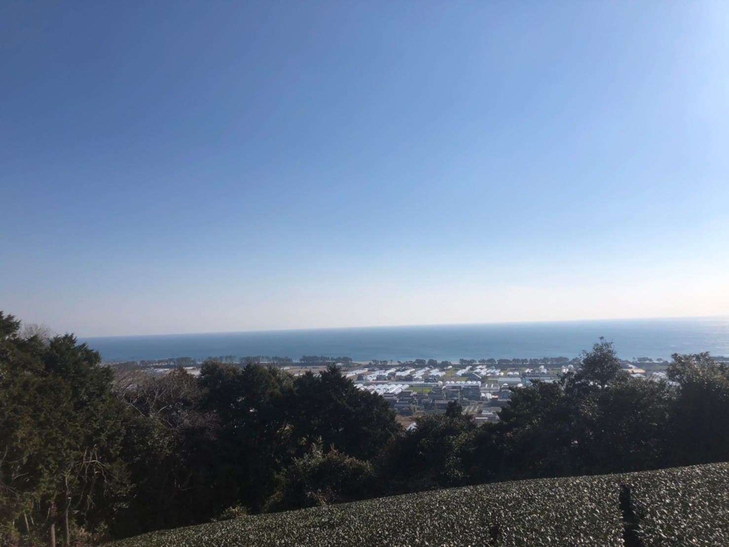 Kaikon 山/茶畑丸々貸切！日本一のお茶の生産地の茶畑山を貸切利用！各種撮影におススメの写真11