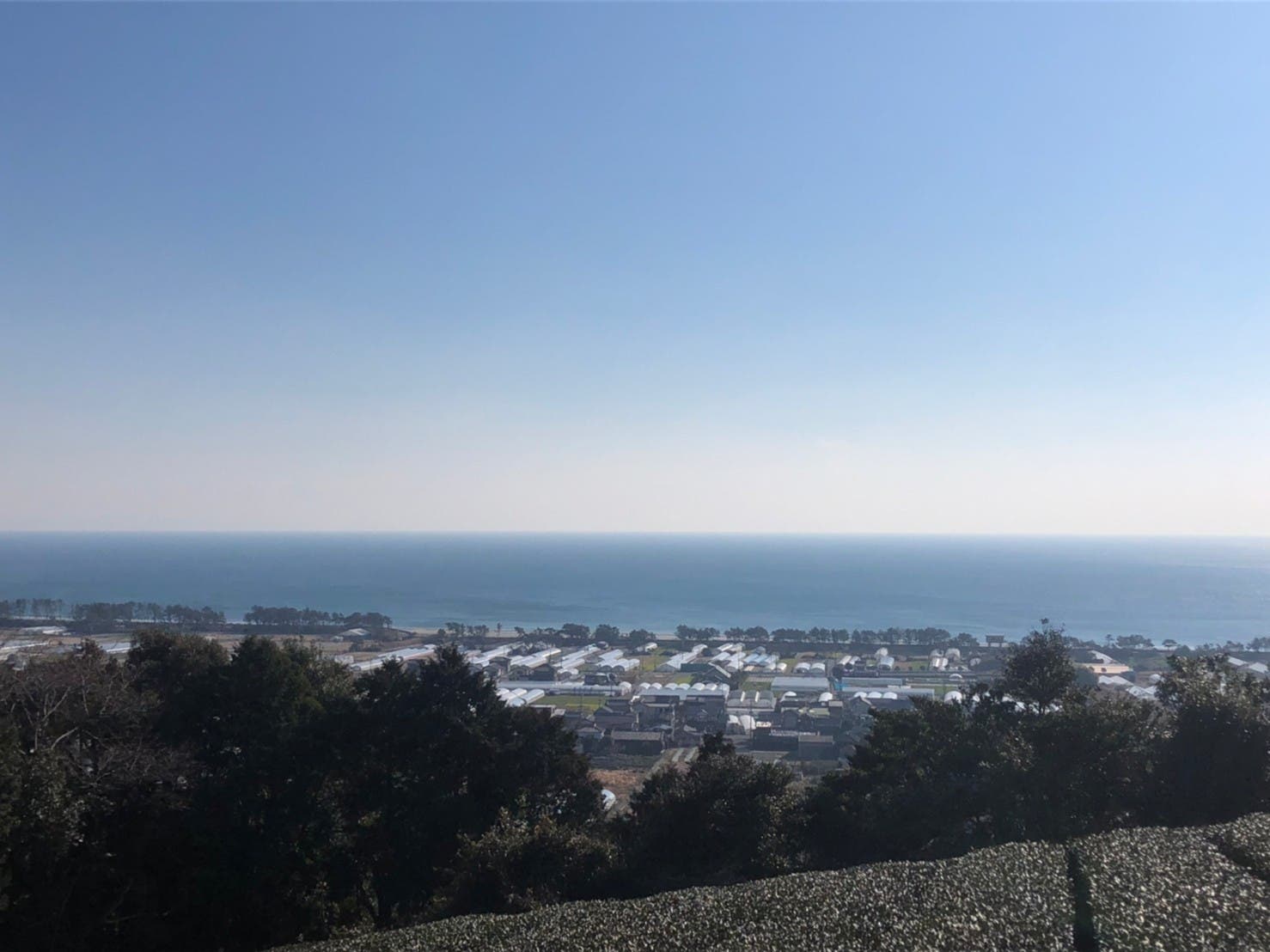 Kaikon 山/茶畑丸々貸切！日本一のお茶の生産地の茶畑山を貸切利用！各種撮影におススメの写真13