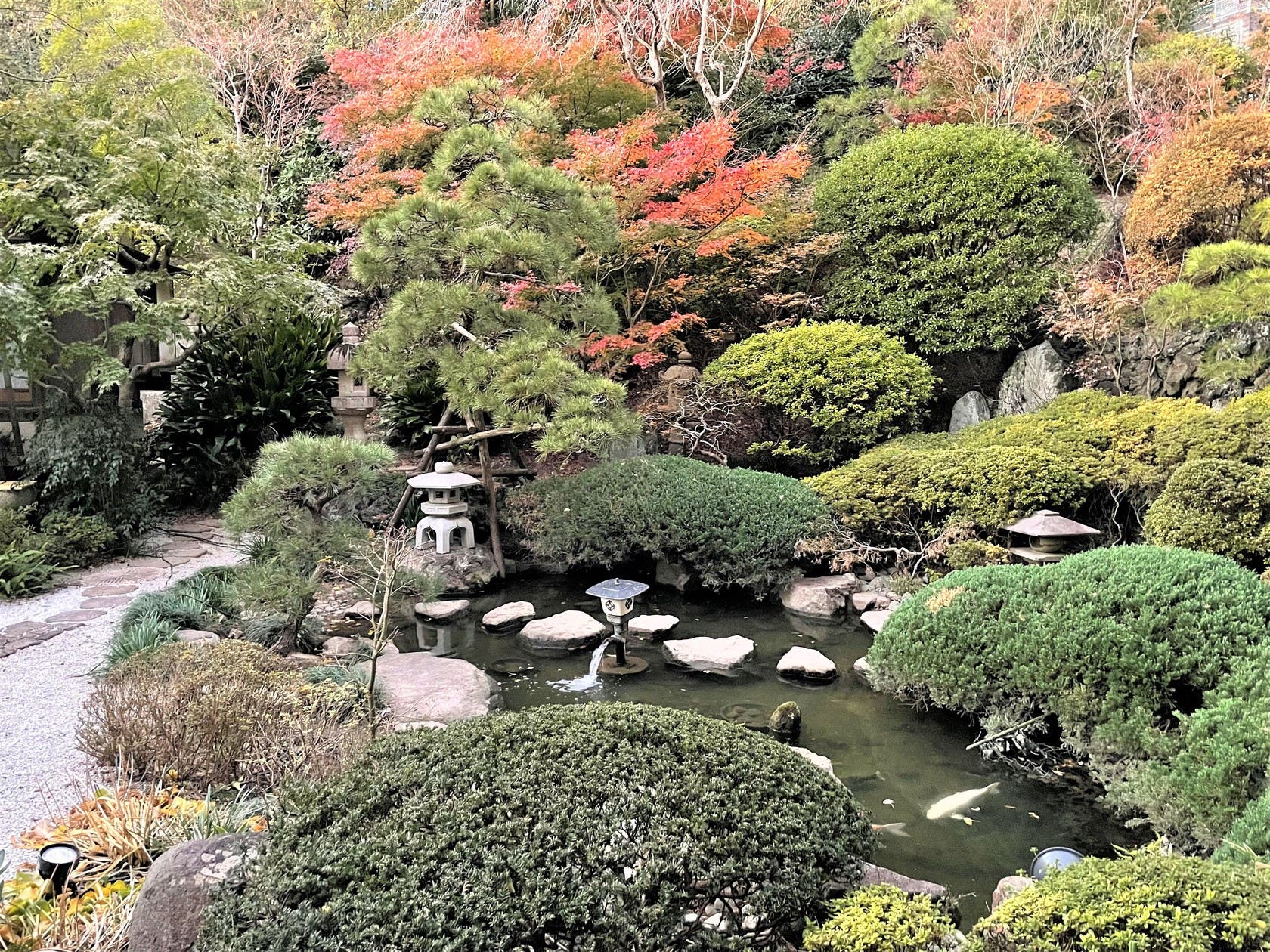 荘厳な雰囲気の本堂と日本庭園にて各種イベントを（寺院・お寺・寺・寺社・寺社仏閣・庭）の写真10