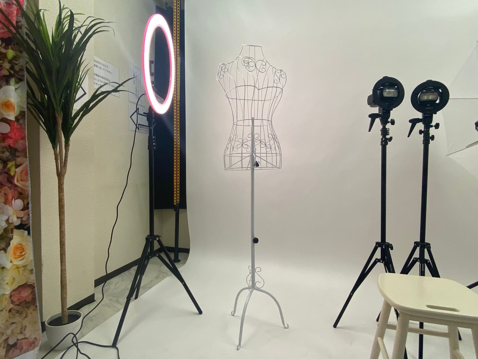 トルソーの画像1