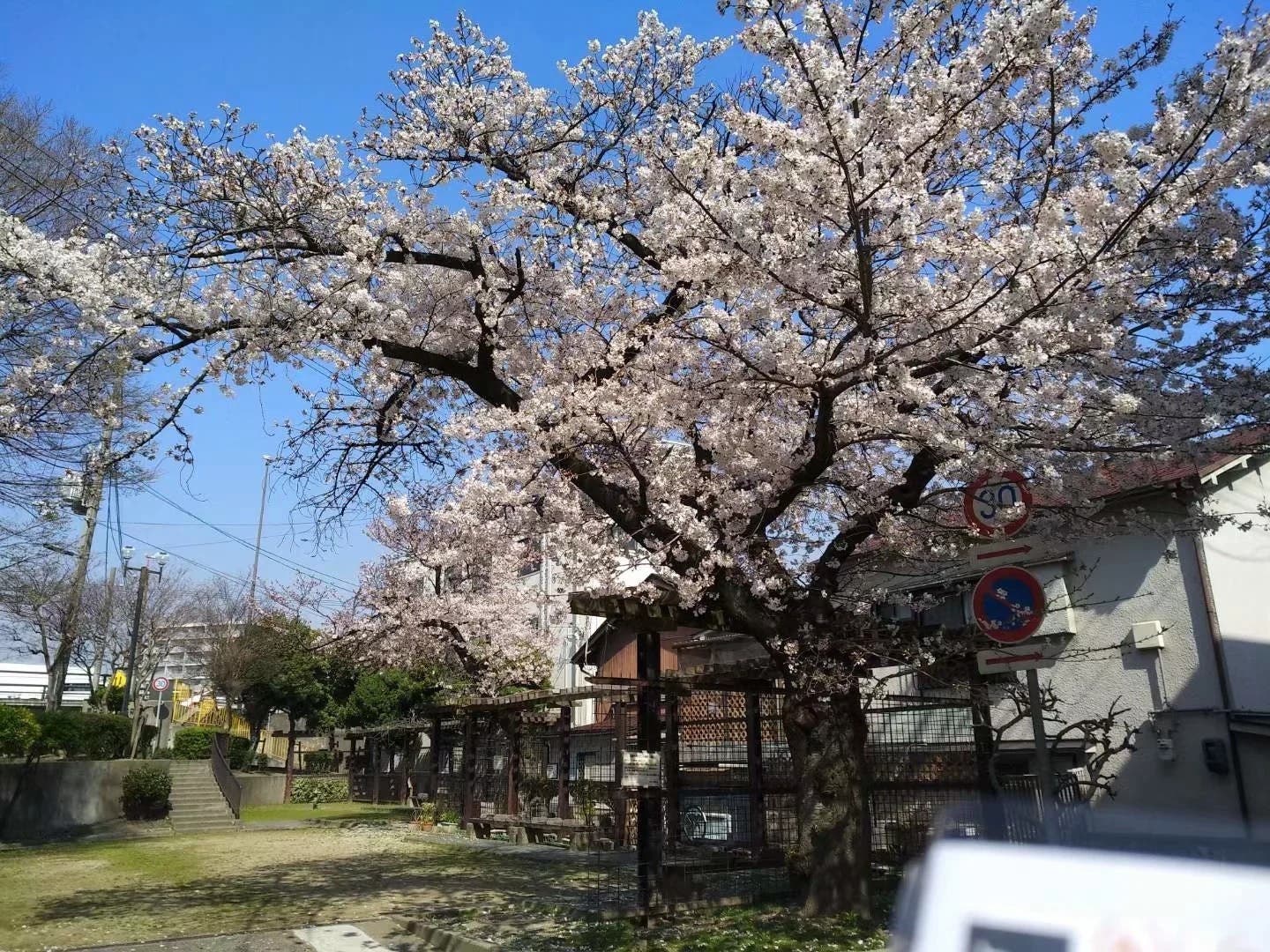 【RebornキッチンスペースL】自然光の入る一軒家の一室、貸切キッチンで#撮影#勉強会#文化教室#女子会#誕生日会#パーティーの写真13