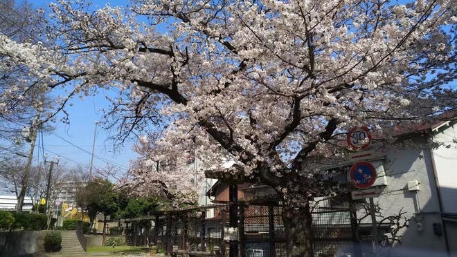 【RebornキッチンスペースL】自然光の入る一軒家の一室、貸切キッチンで#撮影#勉強会#文化教室#女子会#誕生日会#パーティーの写真13