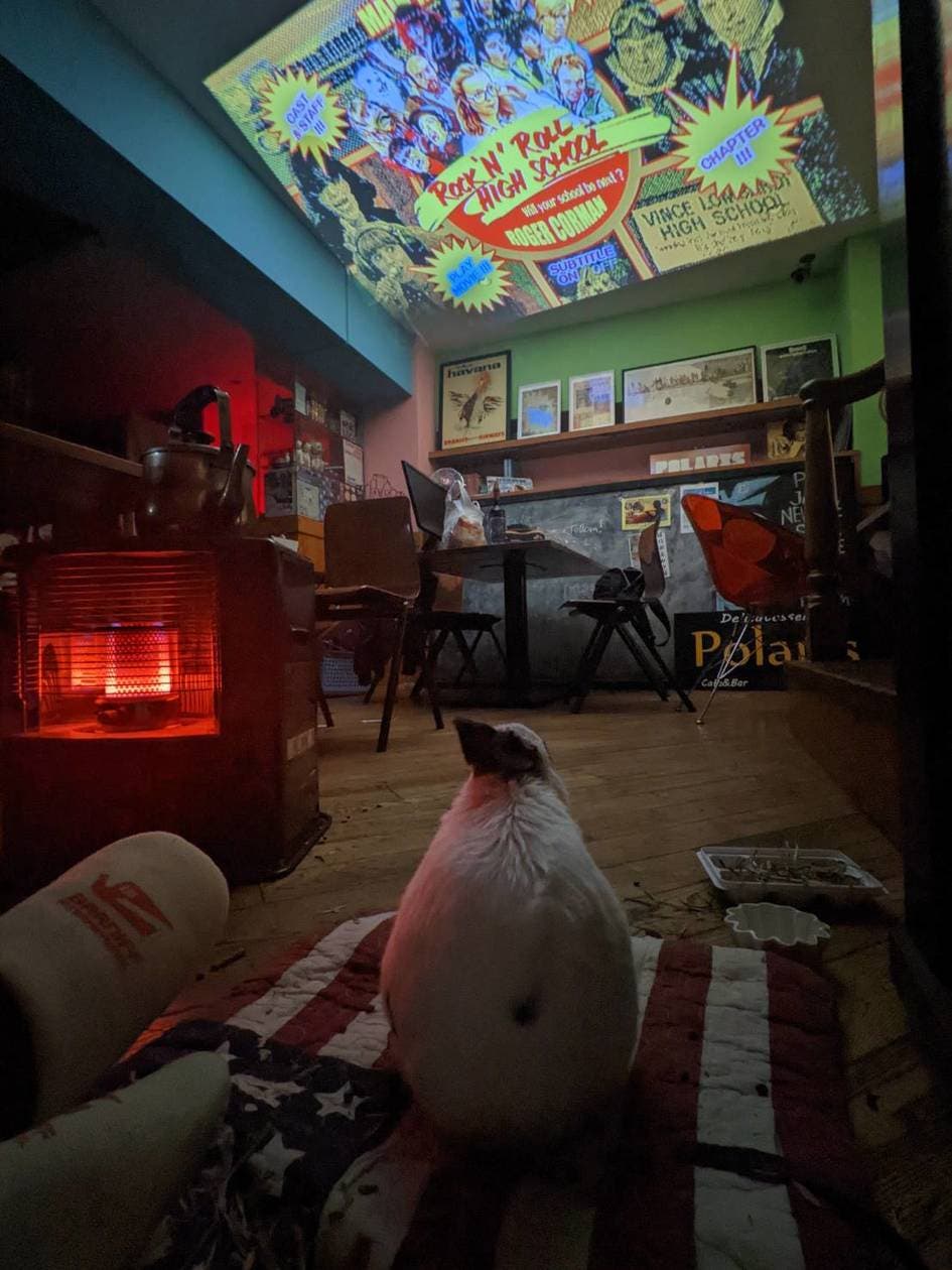 キッチン使用▶WiFi音響プロジェクター 阪神三宮から特急１駅 神戸 東灘 御影・石屋川（駅から5分）のカフェスペースレンタルの写真6