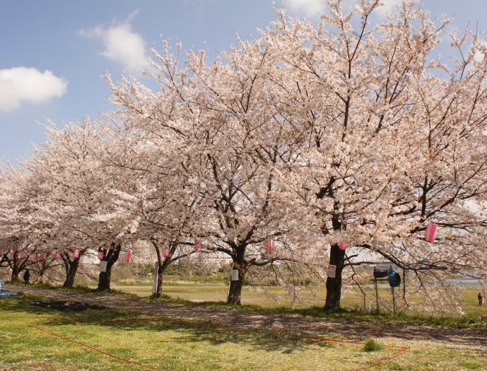 隠れ家風おうちスペース❣️｜カップル割👩‍❤️‍💋‍👩 学割🎓あり｜パーティー🎉 ｜河原BBQの控え室に🍖｜デート💝｜タコパ🐙の写真15
