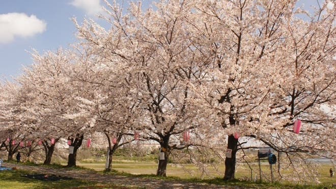 隠れ家風おうちスペース❣️|カップル割👩❤️💋👩 学割🎓あり|パーティー🎉 |河原BBQの控え室に🍖|デート💝|タコパ🐙の写真15