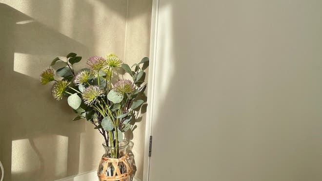 ✨🎄クリスマス装飾中🎄✨二子玉川駅5分|個室・撮影・会議・パーティー🎄に最適な多目的スペース🎉バルコニー&屋上つき!の写真15