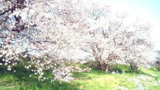 ✨🎄クリスマス装飾中🎄✨二子玉川駅5分|個室・撮影・会議・パーティー🎄に最適な多目的スペース🎉バルコニー&屋上つき!の写真7