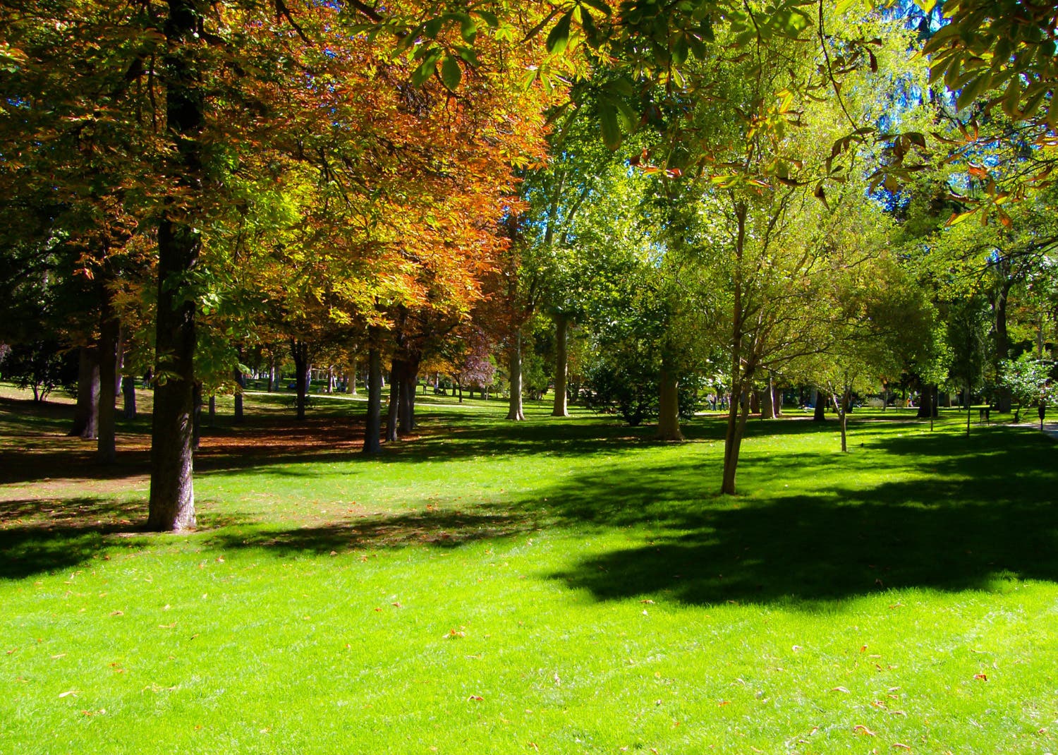 【つくば駅】12名着席！多目的レンタルスペース/お食事会・撮影会・レンタルサロン🌷ネトフリ映画鑑賞🌷ボドゲ🌷ホムパ🌷の写真30