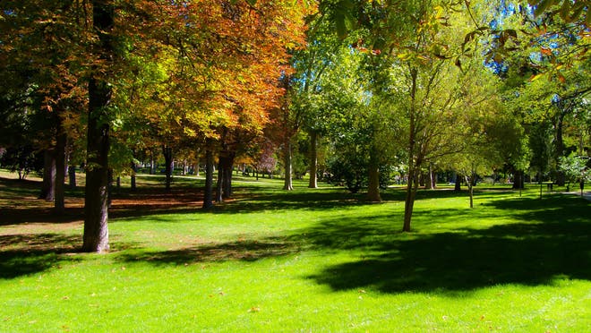 【つくば駅】12名着席!多目的レンタルスペース/お食事会・撮影会・レンタルサロン🌷ネトフリ映画鑑賞🌷ボドゲ🌷ホムパ🌷の写真30