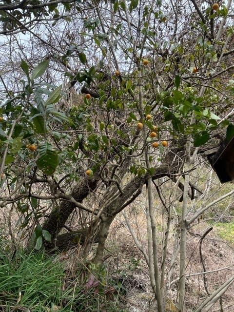 【周囲にきがねなし！】綺麗な小川と山々に抱かれる。癒やしあふれ、心身デトックスできるマルチスペース！の写真11