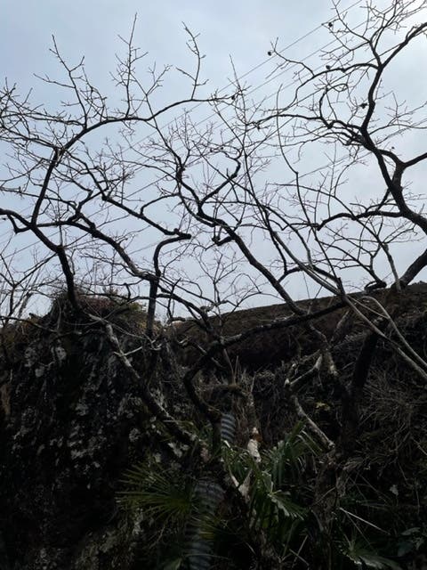 【周囲にきがねなし！】綺麗な小川と山々に抱かれる。癒やしあふれ、心身デトックスできるマルチスペース！の写真13