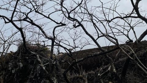 【周囲にきがねなし!】綺麗な小川と山々に抱かれる。癒やしあふれ、心身デトックスできるマルチスペース!の写真13