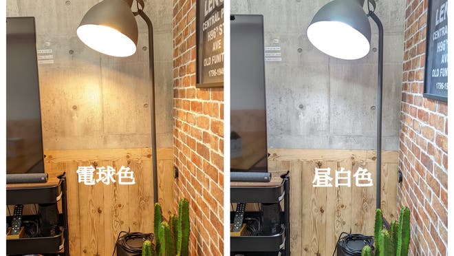 🏆名駅2分🉐管理費0円/Netflix見放題/65📺4K/4K Blu-ray📀/webカメラ/リングライト/ゴミ捨ての写真15