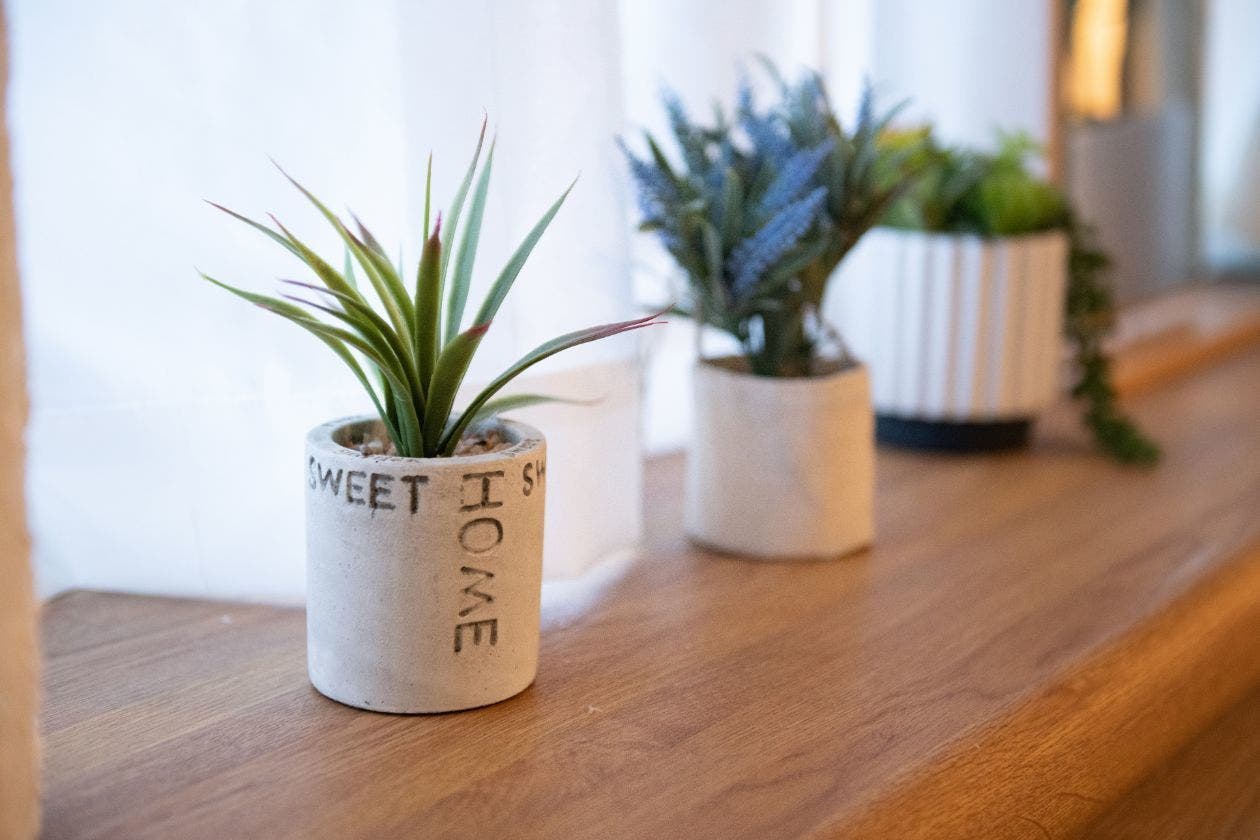 下北沢駅3分｜セラピストの心地良さを追求した高機能＆充実設備のゆったりサロンの写真12