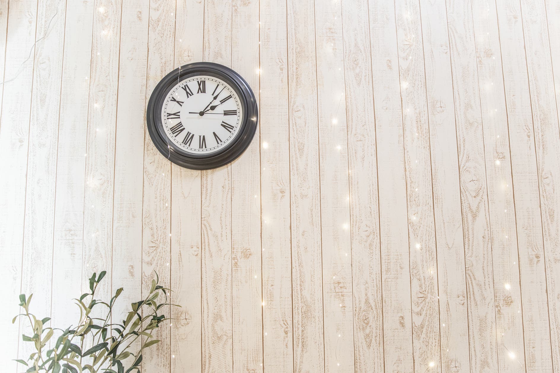 🎄クリスマス＆忘年会シーズン到来🎀たこ焼き器無料🍿立川駅近🚶‍♂️昭和記念公園近く｜パーティー｜撮影｜デート[903]の写真13