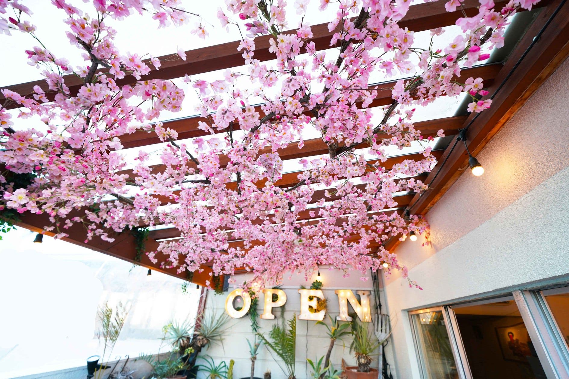 T【渋谷、原宿徒歩６分】ルーフトップ！大人気！BBQ！グランピング！換気！✨ルーフトップ/パーティー/誕生会の写真9