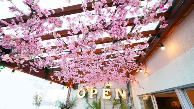 T【渋谷、原宿徒歩6分】ルーフトップ!大人気!BBQ!グランピング!換気!✨ルーフトップ/パーティー/誕生会の写真9