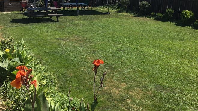 (S)広いお庭と目の前の九十九里浜!海で遊んで、BBQで盛り上がって!の写真2