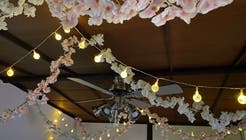 昭和感溢れるお家でのんびりお花見🌸しませんか?🍶の写真3