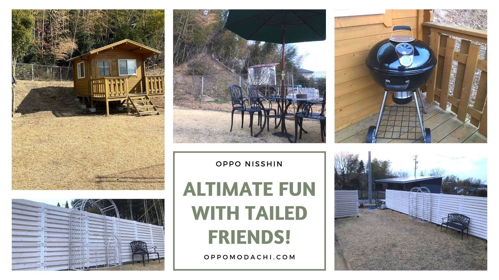 ★ワンちゃんも大喜び★完全貸切60坪で広々！貸切ドッグラン＆6畳ログハウスの写真6