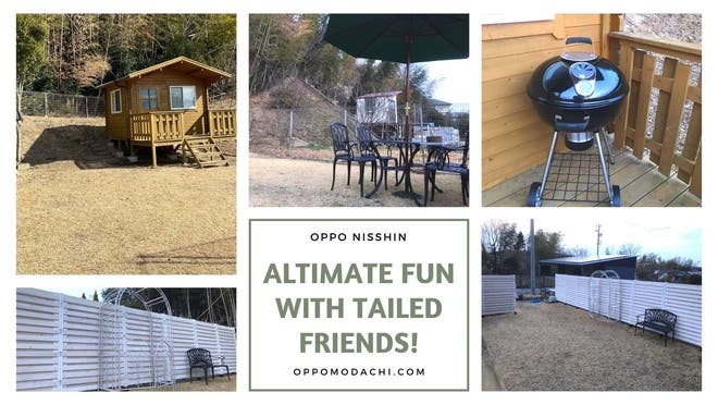 ★ワンちゃんも大喜び★完全貸切60坪で広々!貸切ドッグラン&6畳ログハウスの写真6