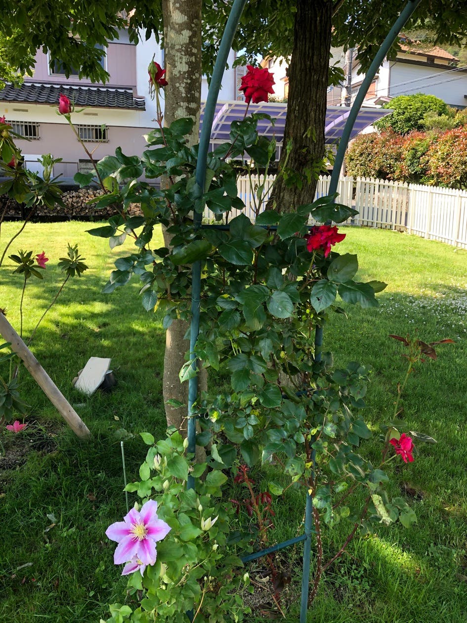 G&F's club 貸し切りプライベートガーデンで家族、愛犬、仲間と過ごすリラグゼーションスペースの写真15