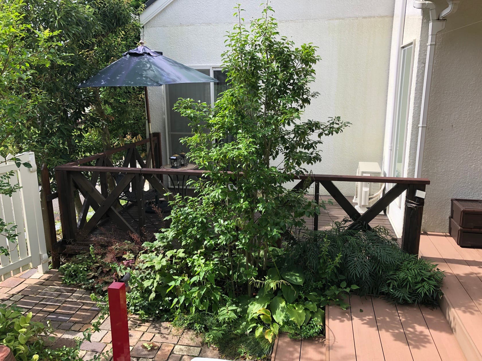 G&F's club 貸し切りプライベートガーデンで家族、愛犬、仲間と過ごすリラグゼーションスペースの写真18