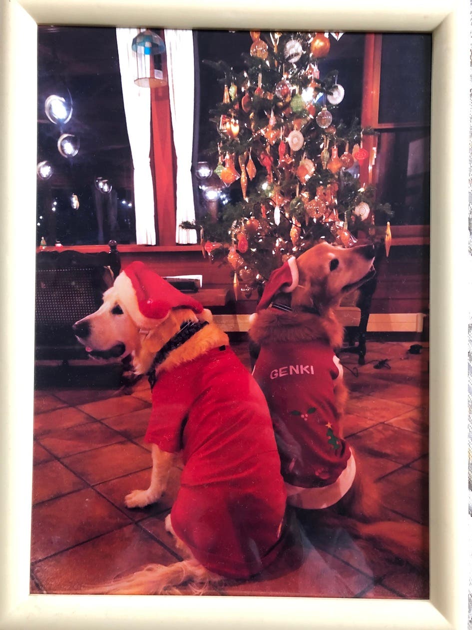 G&F's club 貸し切りプライベートガーデンで家族、愛犬、仲間と過ごすリラグゼーションスペースの写真29