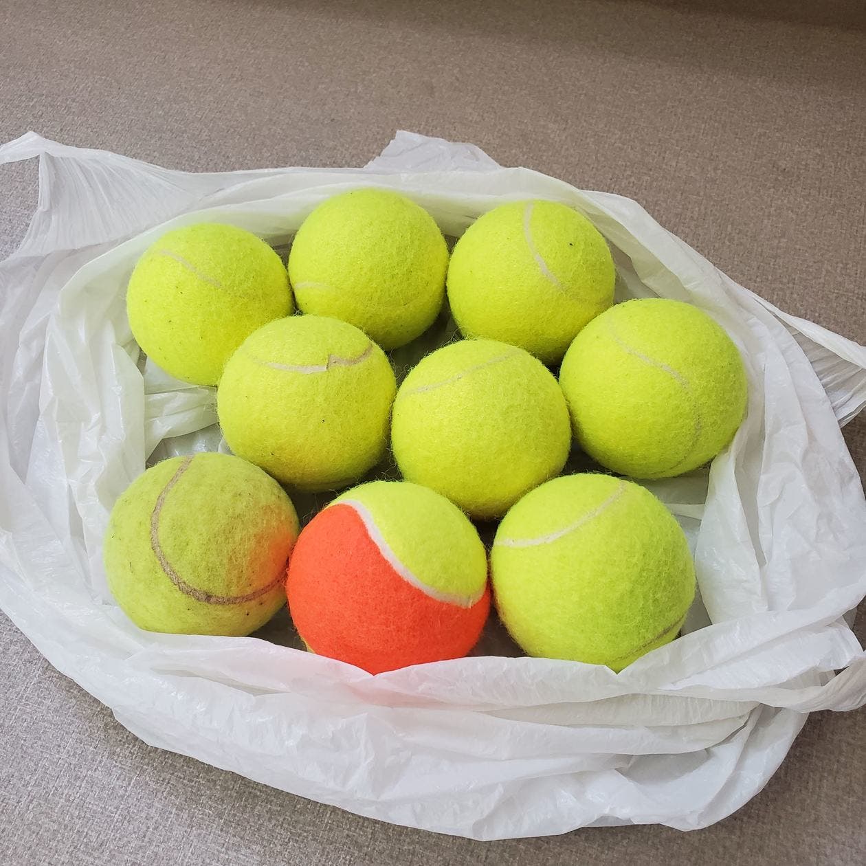 ✨松本市中心地❗️【スタジオ花🌸】ひろびろ95㎡👍無料フィットネス設備充実✨の写真7