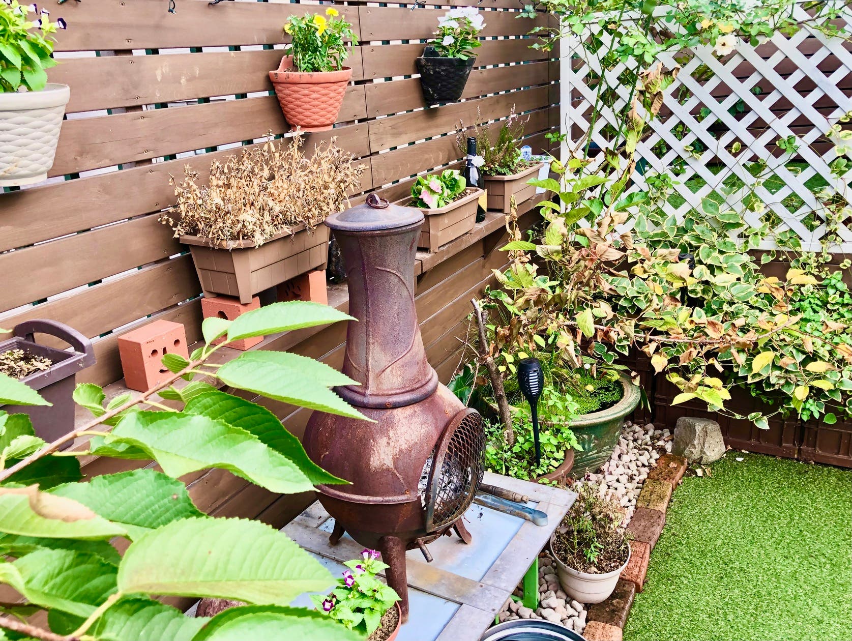 開放的な屋上でBBQ❗️ペットOK🐶矢川駅より１分✨屋上スペース【シエル】撮影やオフ会にもの写真6