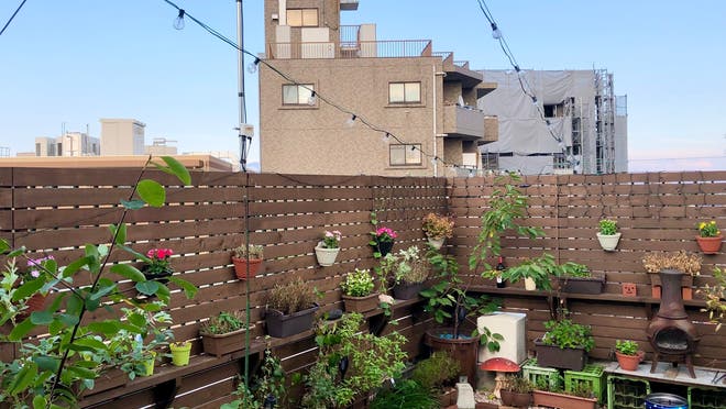 開放的な屋上でBBQ❗️ペットOK🐶矢川駅より1分✨屋上スペース【シエル】撮影やオフ会にもの写真5