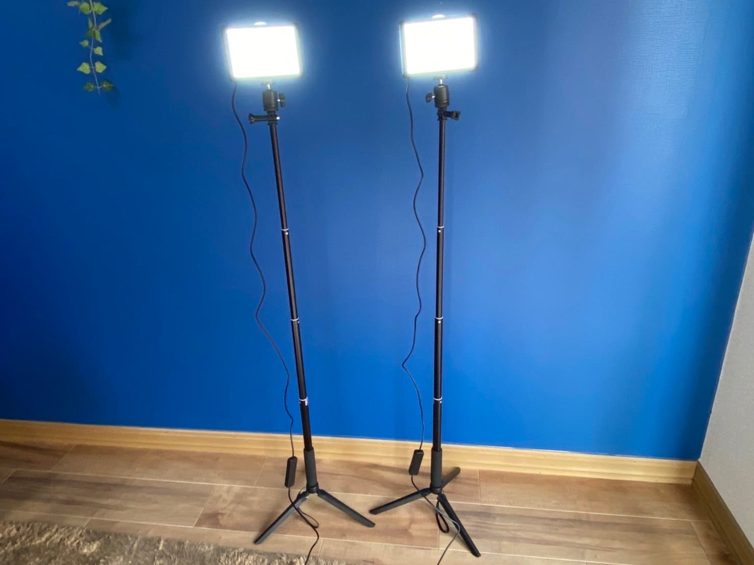 武蔵小杉駅徒歩２分/１階/最大12名/Wi-Fi（無料）/会議室/テレワーク/セミナー/撮影etc【静か・明るい・綺麗】の写真16