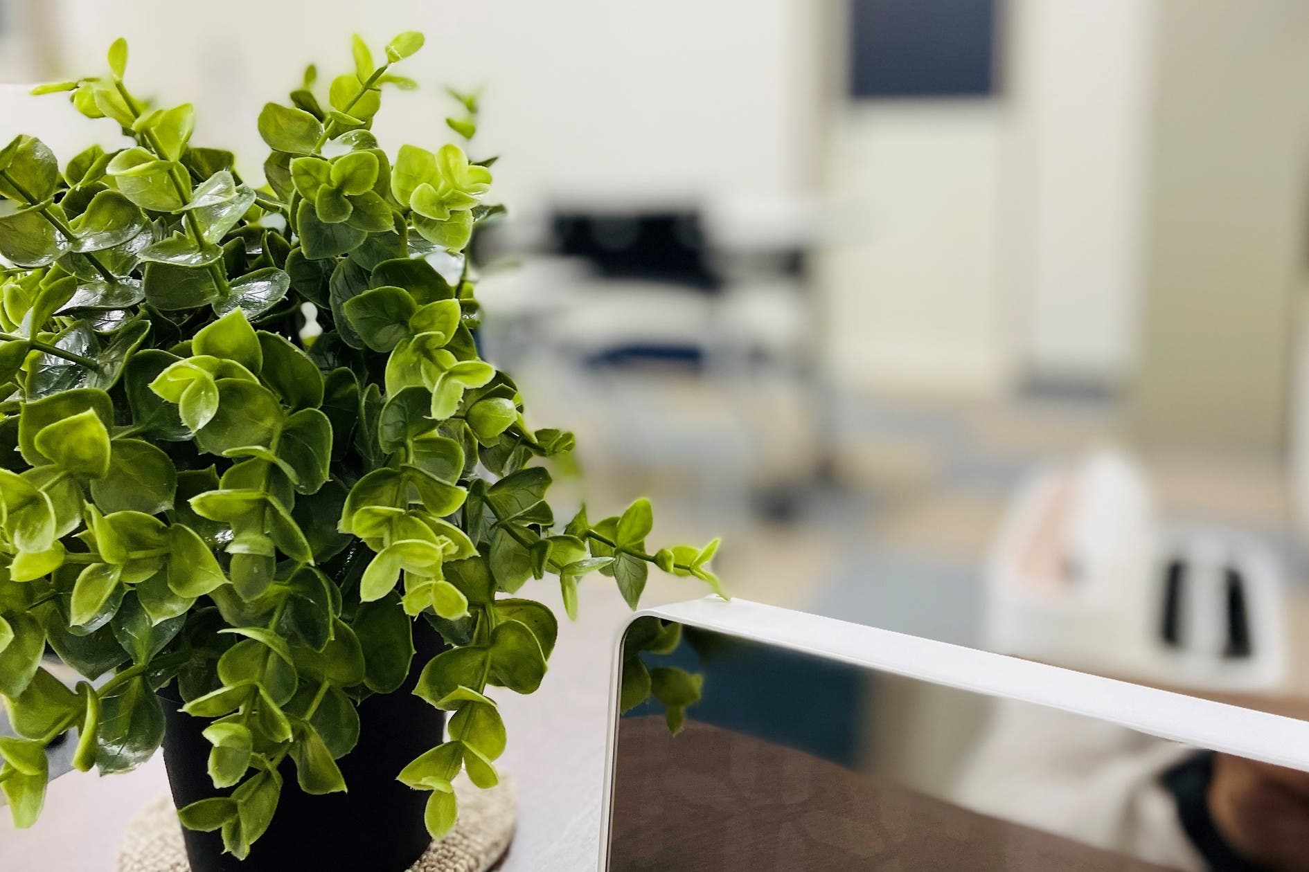 【シェアスペースhinata】駐車場無料！wifi プロジェクター完備　テレワークや会議にの写真9