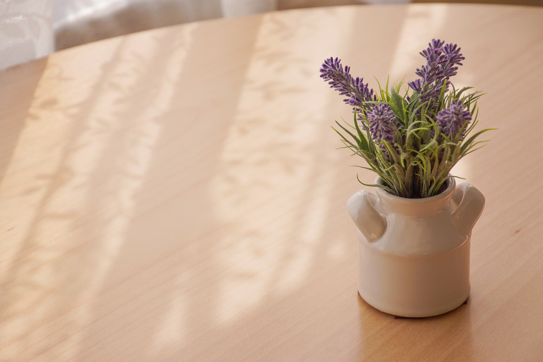 【栃木県佐野市で人気No.1✨️】エステ・整体・カウンセリングに最適なシェアサロン丨1時間から利用可能🌿丨当日予約もOK⏰️の写真9