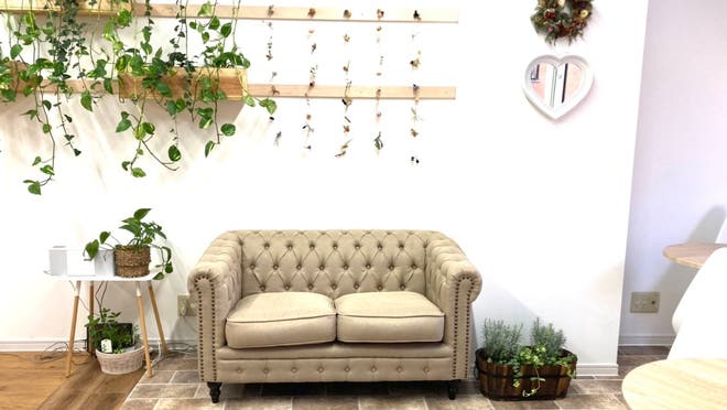 たくさんのお花と緑に囲まれた幻想的なフラワーカフェ 自然光あり、ポートレート撮影・動画撮影、女子会イベントも可能の写真3