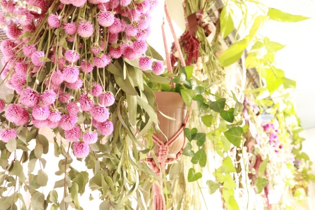 たくさんのお花と緑に囲まれた幻想的なフラワーカフェ　自然光あり、ポートレート撮影・動画撮影、女子会イベントも可能の写真6