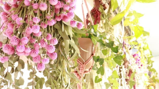 たくさんのお花と緑に囲まれた幻想的なフラワーカフェ 自然光あり、ポートレート撮影・動画撮影、女子会イベントも可能の写真6