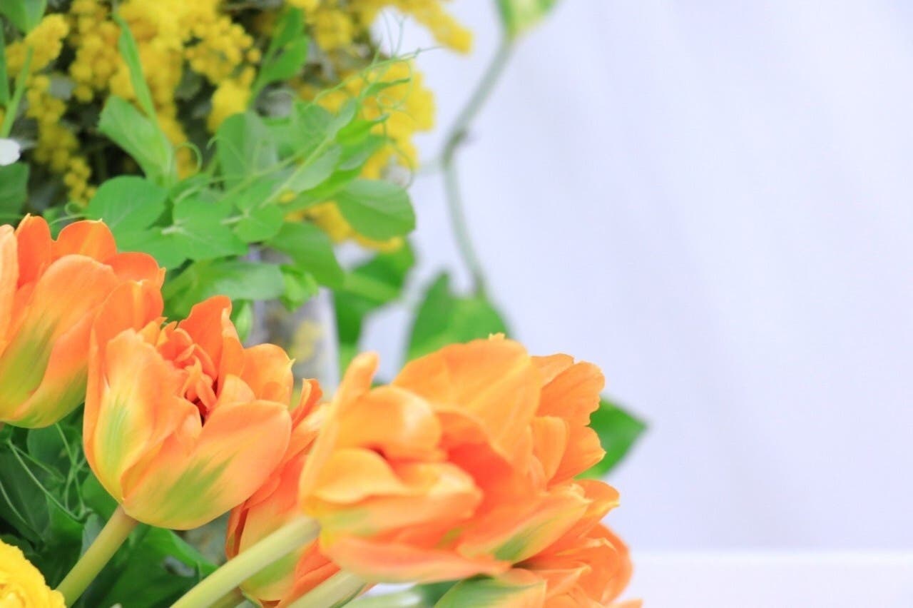 たくさんのお花と緑に囲まれた幻想的なフラワーカフェ　自然光あり、ポートレート撮影・動画撮影、女子会イベントも可能の写真7