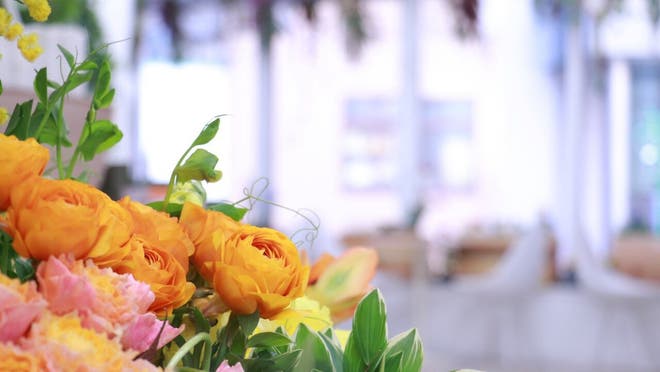 たくさんのお花と緑に囲まれた幻想的なフラワーカフェ 自然光あり、ポートレート撮影・動画撮影、女子会イベントも可能の写真4