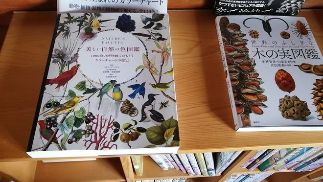 幼児から小学校低学年向け 絵本ライブラリーの写真9