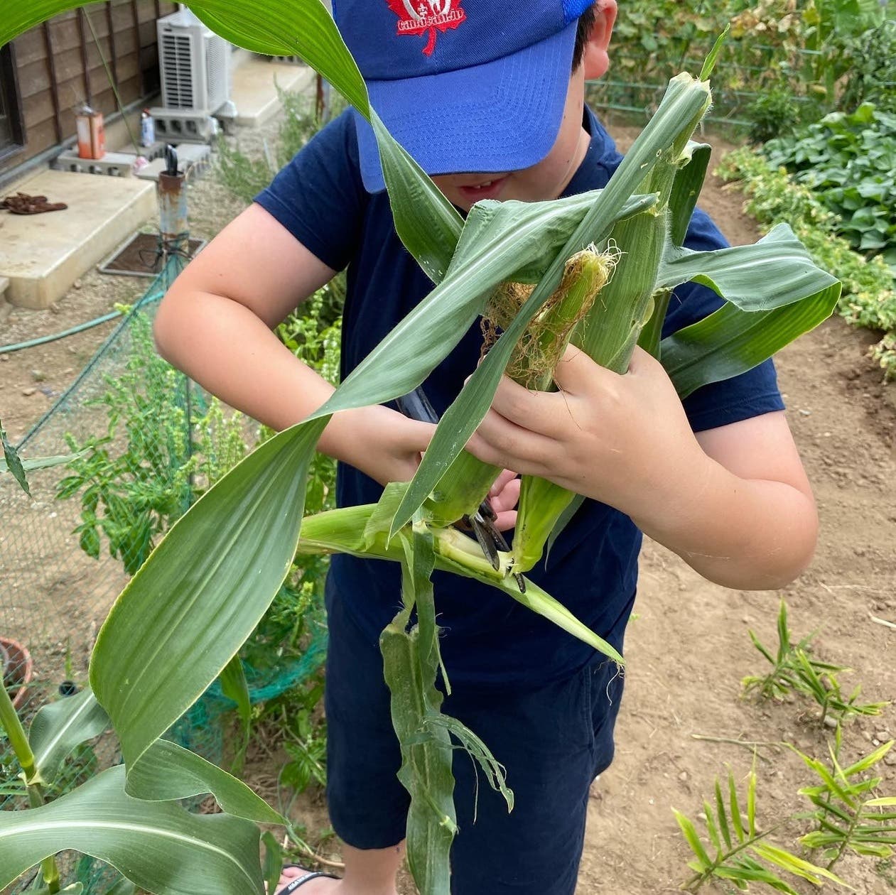 古民家民泊ｈａｎａｒｅ　緑の中の古民家でパーティーやテレワークをの写真24