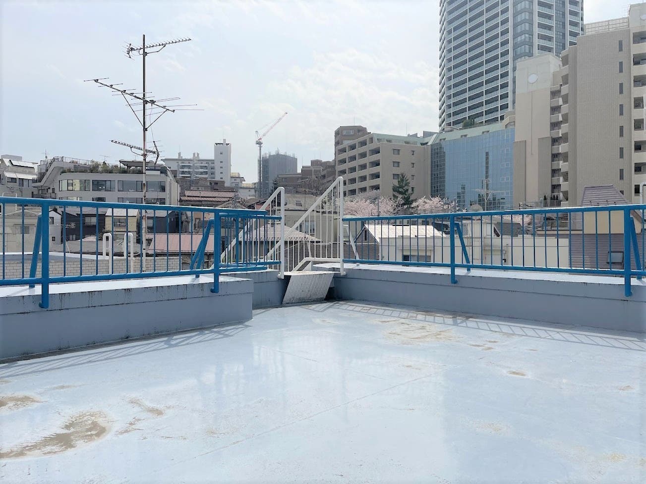 屋上撮影オプションの画像3