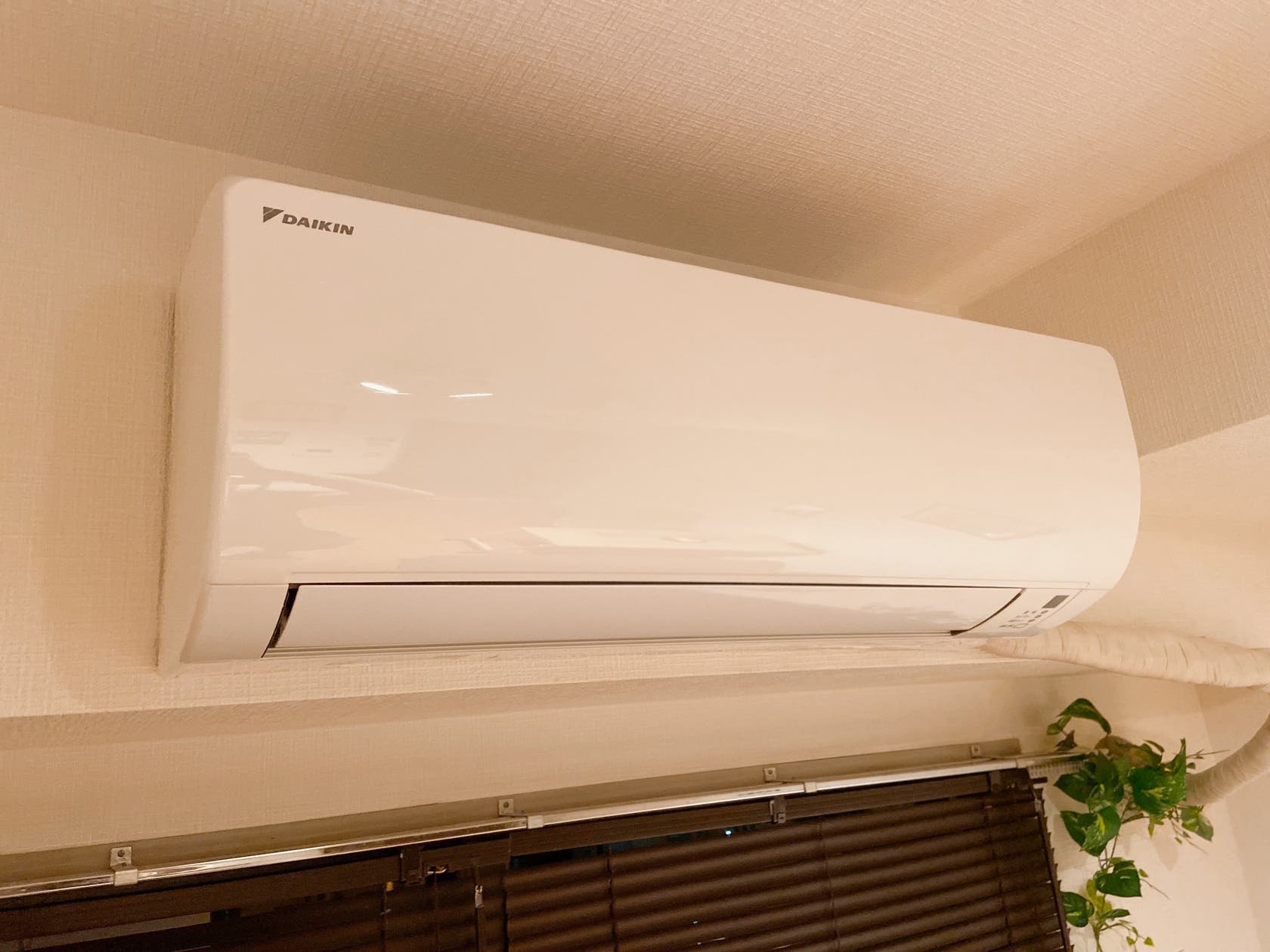 【02💐特割&最大50％OFF🉐】人気の韓国風スタイルで非日常をグッと演出✨💖女子会💑ママ会に最適♪大型撮影ライト付の写真10