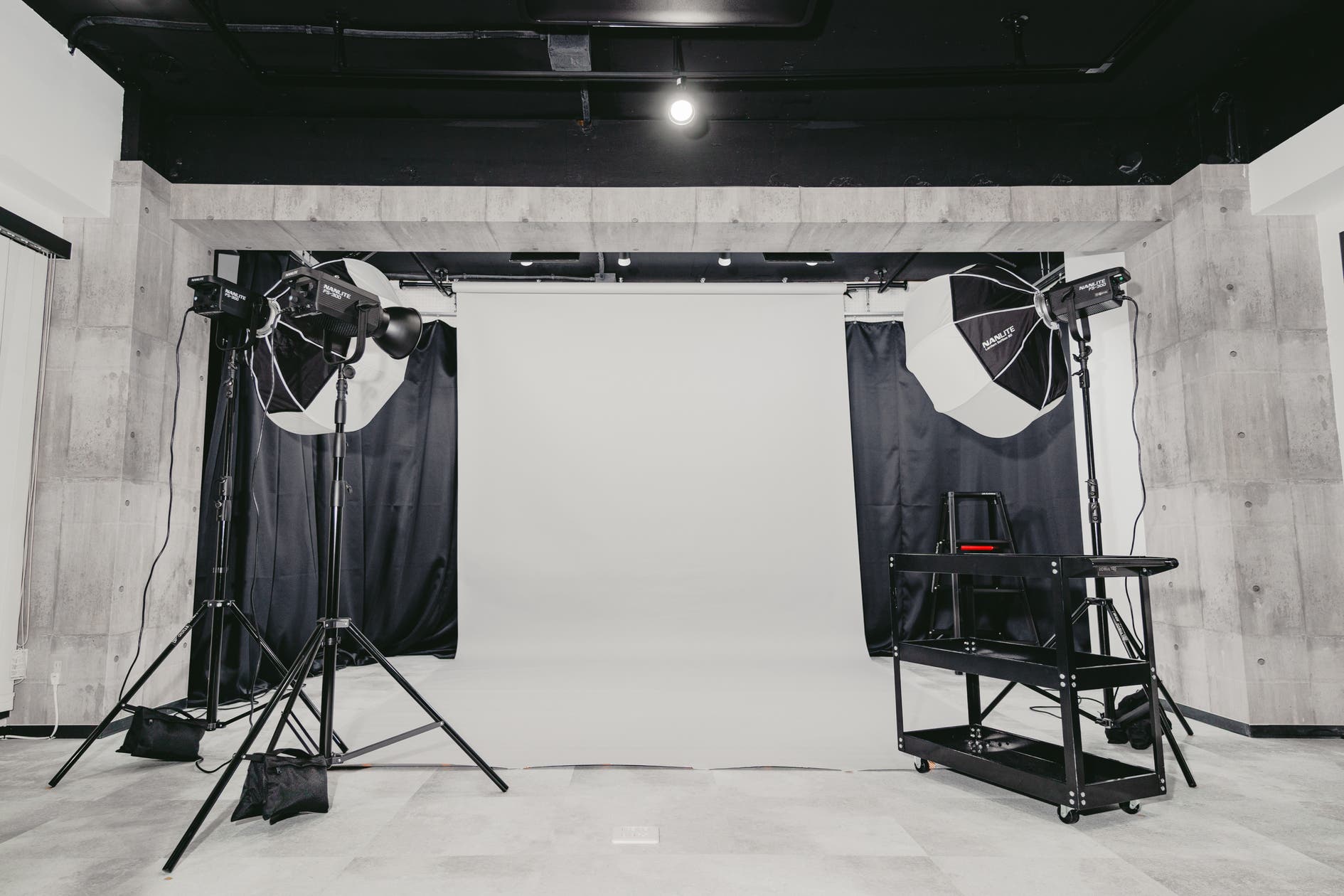 バック紙各色の画像2